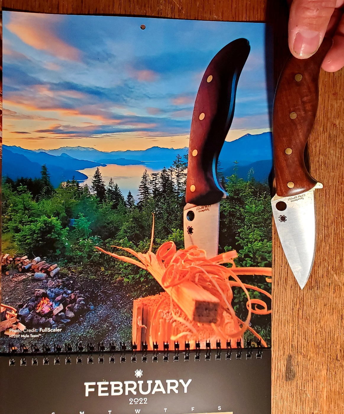 Spyderco Mule Team Scales - Blade Protection